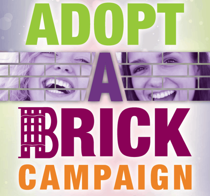 Adopt-A-Brick: Building Jewish Unity, Community and Leadership ...