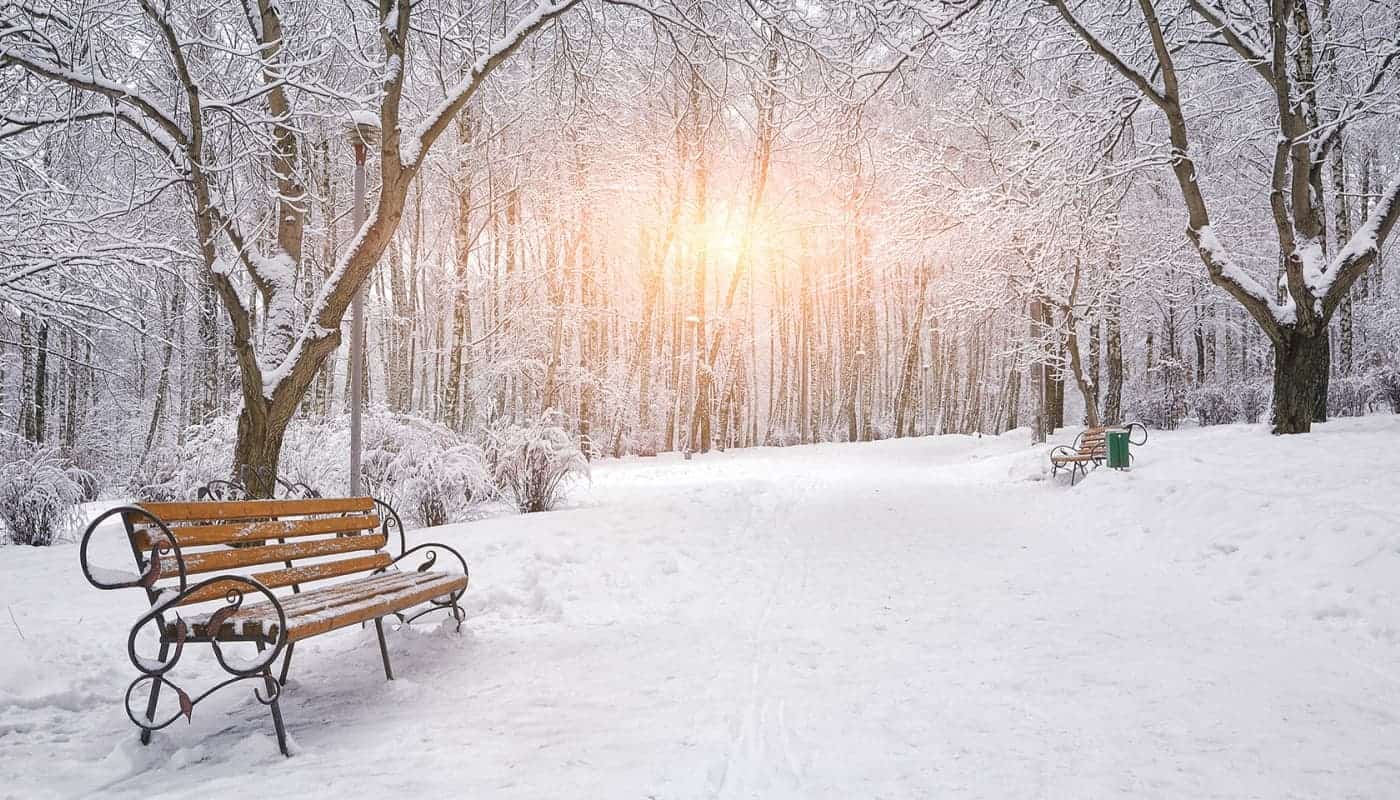 In Appreciation of Winter - Gateways